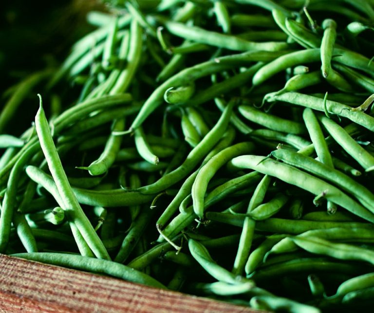 Feixóns verdes - Revista Pincha